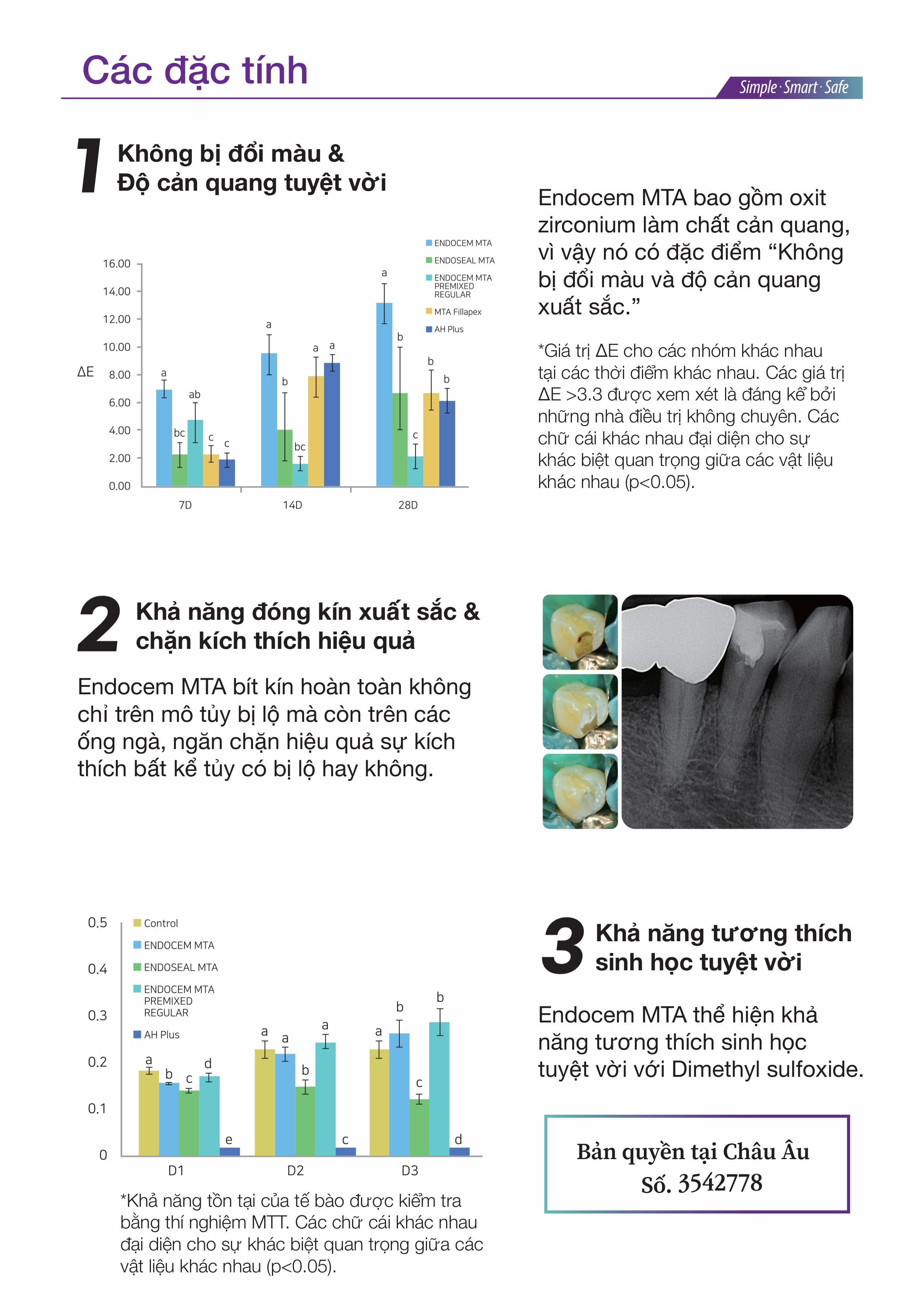 ENDOCEM MTA - Hải Nha - For The Better Dentistry